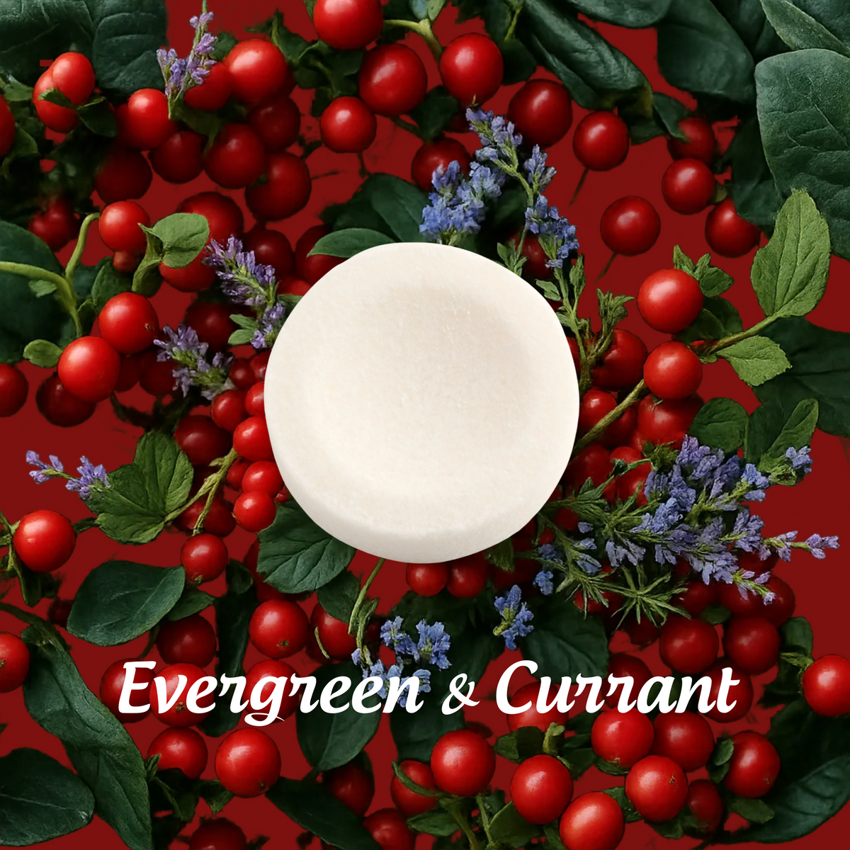 Evergreen & Currant – POTTYMINTS